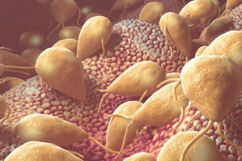 We Test For Giardia In Water & Provide Effective UV Water Filter System ...