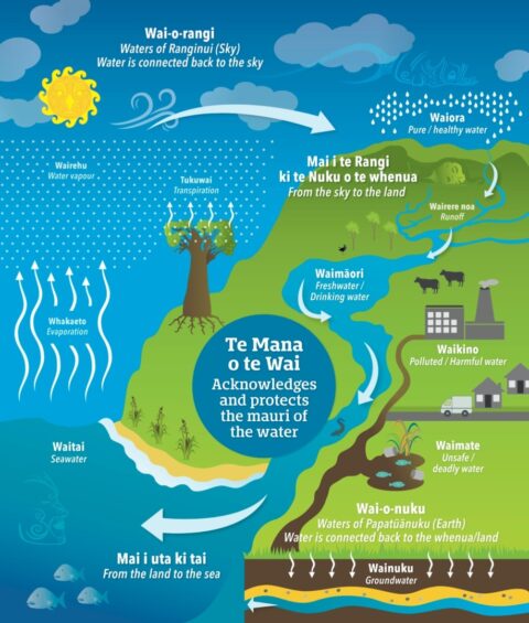 Te Mana O Te Wai, the Connection of Water, Land and People - Aqua Works