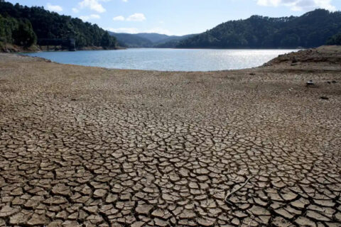 Get a Second Water Tank to Combat Effects of Climate Change | Aqua Works